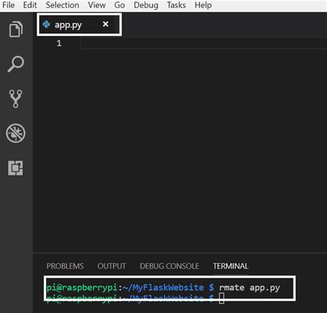 How To Make Your Own Python Dev Server With Raspberry Pi
