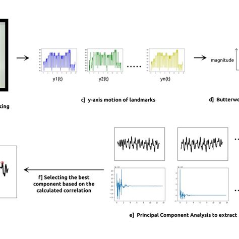 pdf heart rate measurement