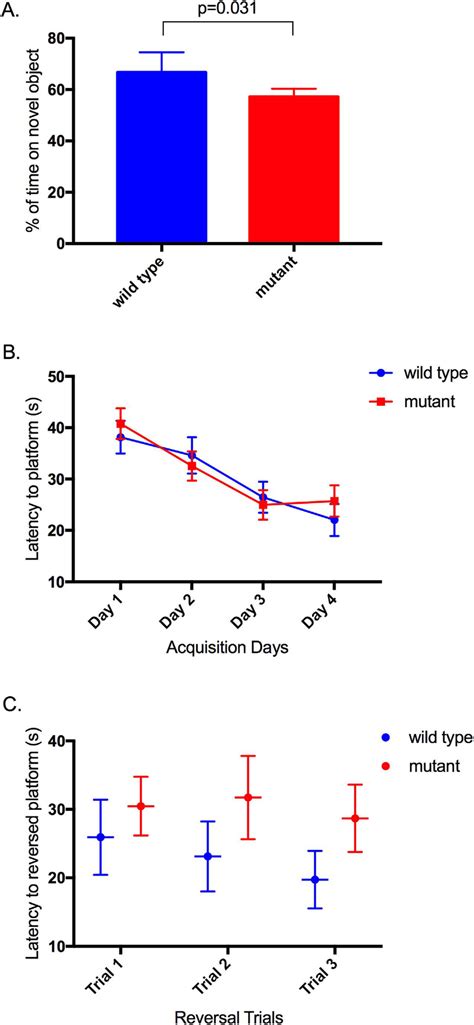 Nbmp2nls Tm Mice Exhibit Object Memory Deficits In The Novel Object