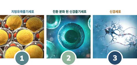 케이셀바이오뱅킹 주식회사