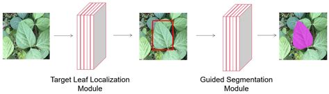 Target Soybean Leaf Segmentation Model Based On Leaf Localization And Guided Segmentation