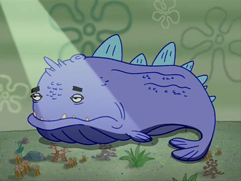 Dorudon Spongebob Photography Pics Killer Whales