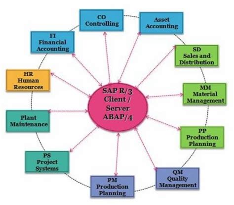 2 To 3 Sap Training Institute In Noida At Rs 15000 Month In Lucknow Id 25900567833