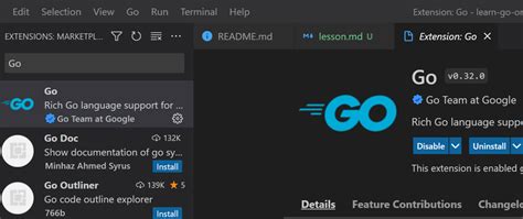 Setting Up Our Go Development Environment Dev Community