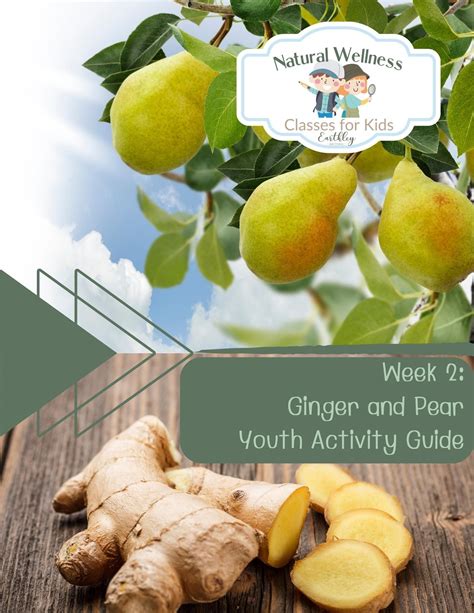 Ginger And Pear Activity Guide For Youth Natural Wellness Earthley Earthley Wellness