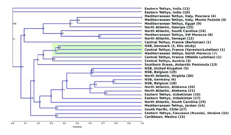 Jaccard Index Only Deep Sea Taxa Download Scientific Diagram
