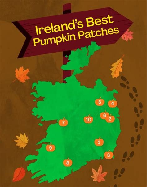 Kilkenny Home To Irelands Best Pumpkin Patch