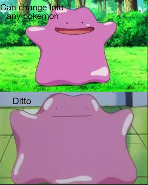 Ditto Rgoodanimemes