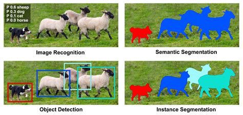 stardist a deep learning based 2d and 3d object detection softscients