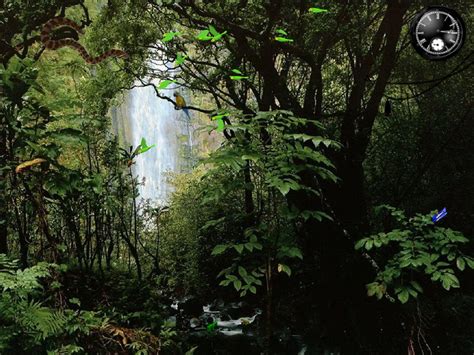 Rainy Forest Screensaver For Windows Free Screensaver