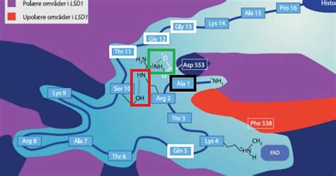 Imgur The Magic Of The Internet