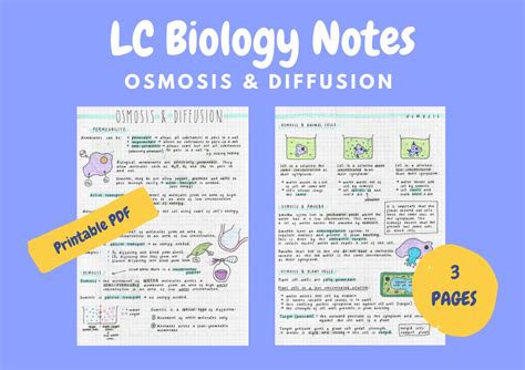 Osmosis And Diffusion Notes Leaving Cert Biology Etsy