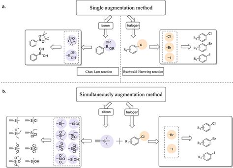 The Schematic Diagram Of Virtual Data Augmentation A The Single