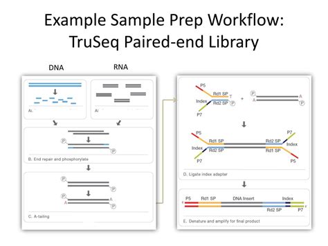 Ppt Genome Biology For Programmers Lecture Series Illumina Sequencing Powerpoint Presentation