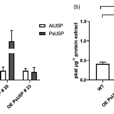 Characterization Of Udp Sugar Pyrophosphorylase Usp Overexpression Download Scientific