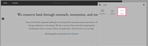 Adding Forms To SquareSpace
