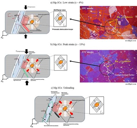 15 Illustration Along With Optical Microstructures Showing Tension Twin