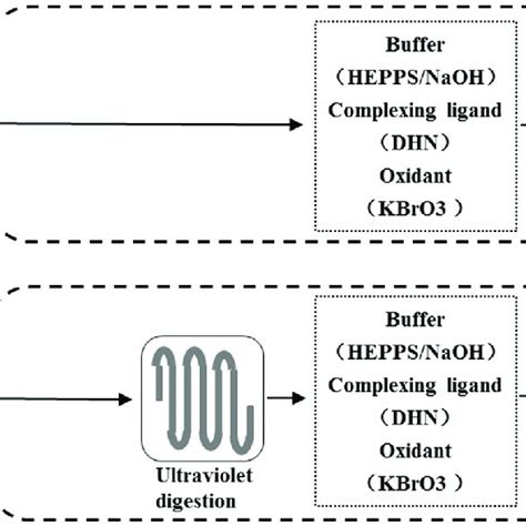 Schematic Diagram Of The Iron Speciation Analysis In Coastal Seawater