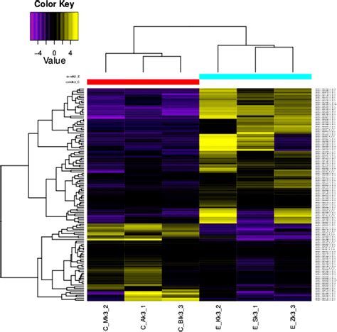 Hierarchical Clustering Of Two Groups Of Barley Transcriptomes At The