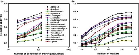 Performance Of Genome Wide Prediction In A Population Of 138 Miscanthus