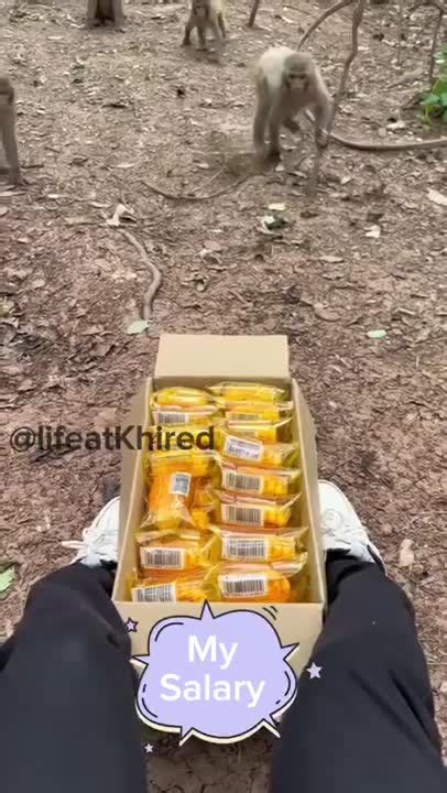 Life At Khired On Linkedin My Salary