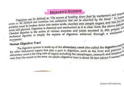 SOLUTION Digestive System Studypool