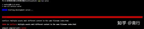 利用脚手架创建vue2 x项目，multiple assets emit different content to the same