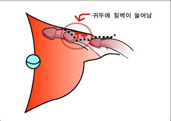 훑어라 그녀 애액 흘러넘치게 하려면