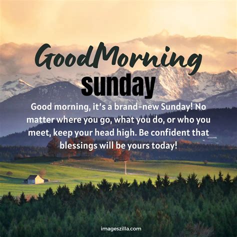25 Good Morning Sunday Images Wishes And Quotes Imageszilla