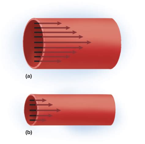 20 2b Peripheral Resistance Flashcards Quizlet
