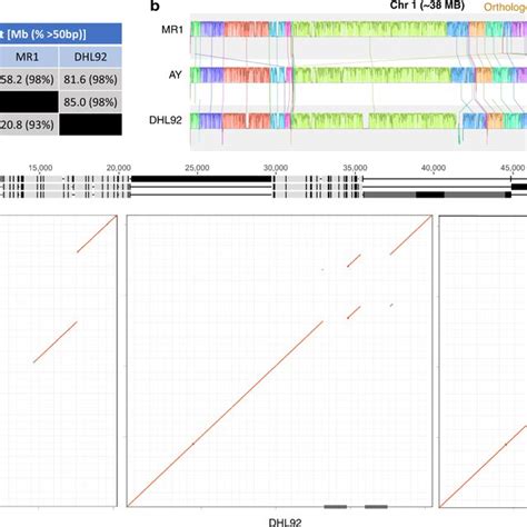 Pangenome Of Three Melon Sequences And Sources Of Genomic Sequence A Download Scientific