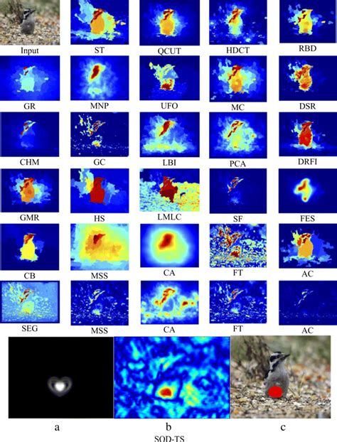 Comparing Sod Ts To Other Salient Object Detection Methods [7] A Download Scientific Diagram