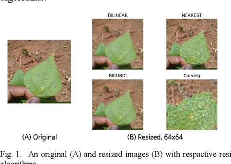 Figure 1 From Weighted Decoupling An Effective Image Resizing Method