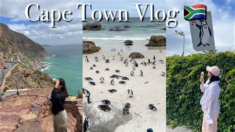 Eng 🇿🇦 Vlog Ep3 ️ 케이프타운 여행 아프리카 펭귄 🐧 세계 7대 드라이브 코스 채프먼스 피크 희망봉 Trip To Cape Town 🌍