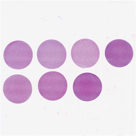 Leukemialymphoma Cancer Cell Pellet Array Cpa07 01 Acepix Biosciences