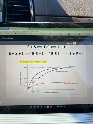 Bio 215 Lecture 11 Pt 2 Exam 2 Flashcards Quizlet
