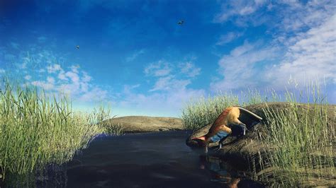 My Small Attempts For Learning Animation R Learnanimation