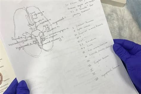 What Are The Hardest AP Classes In High Babe Bold Org