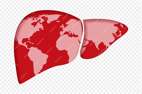 Premium Vector Vector Illustration Of World Map In Human Liver On
