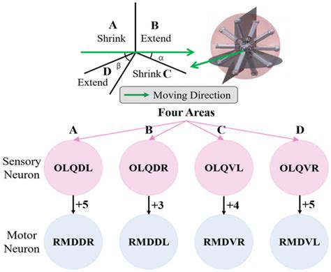 Biomimetics Special Issue Bio Inspired And Biomimetic Intelligence In Robotics