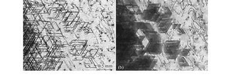 Transmission Topograms Obtained From The Same Region Of The Sic Crystal Download Scientific