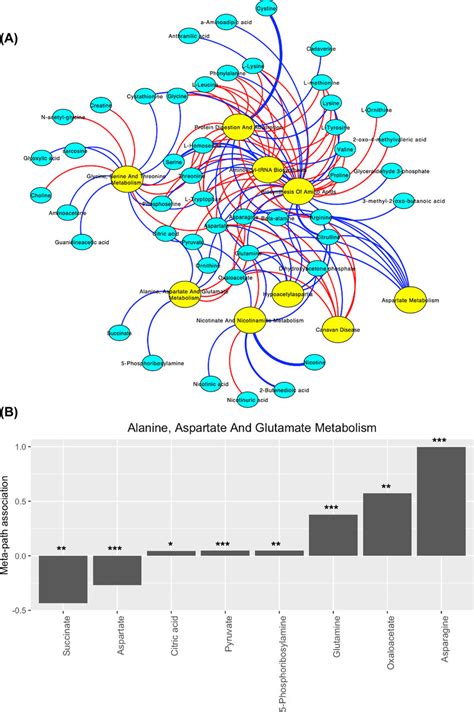 Metabolite Pathway Relationship Analysis A Bipartite Plot With Top Download Scientific