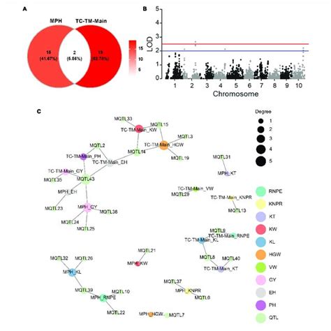 Quantitative Trait Loci Qtl Mapping Results For The Trait Ear