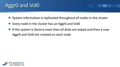 NetApp Disk Ownership FlackBox