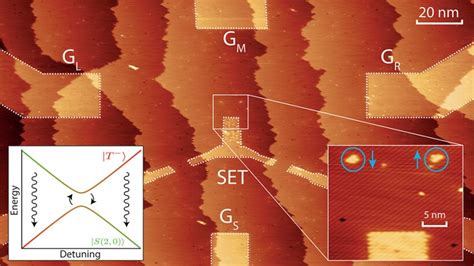 Relaxation Times Measured For Singlet And Triplet Electron Spin States