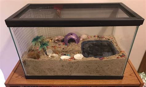 Diy Hermit Crab Habitat Ideas Hermit Crab Cage Ideas Diy Hermit Crab