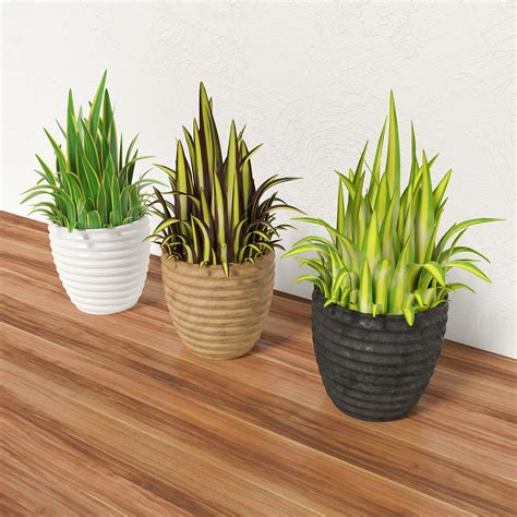 Grass In Pot 02 3d Model 5 Max Fbx Obj Unknown Free3d