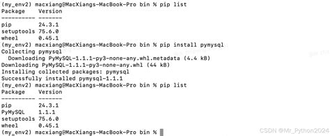 Python虚拟环境「mac、linux、windows」 Csdn博客
