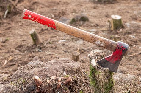 빨간색 페인트 부품과 나무 손잡이가있는 중간 크기의 도끼가 그루터기에 못을 박았다 0명에 대한 스톡 사진 및 기타 이미지 0명 강철 금속 Istock