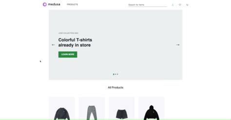 Create A Vuejs Ecommerce Store With Medusa And Vue Storefront Ui